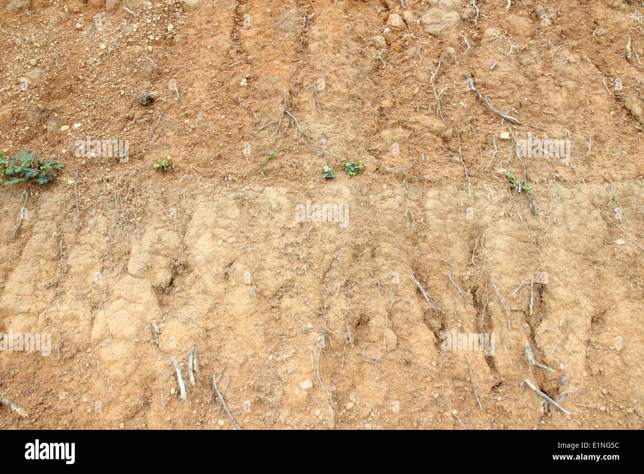 Ground background hi-res stock photography and images - Alamy