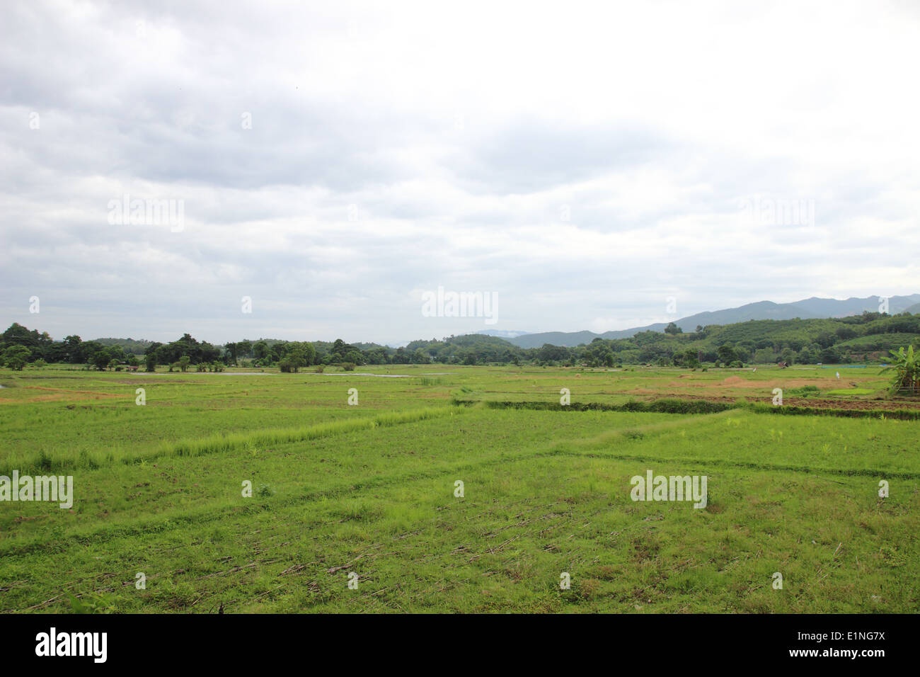 Illinois countryside hi-res stock photography and images - Alamy