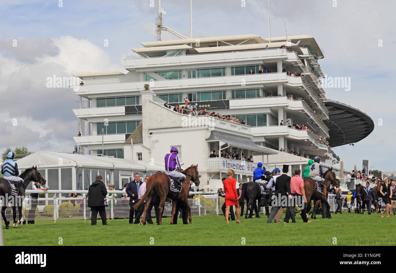 Surrey downs runners hi-res stock photography and images - Alamy