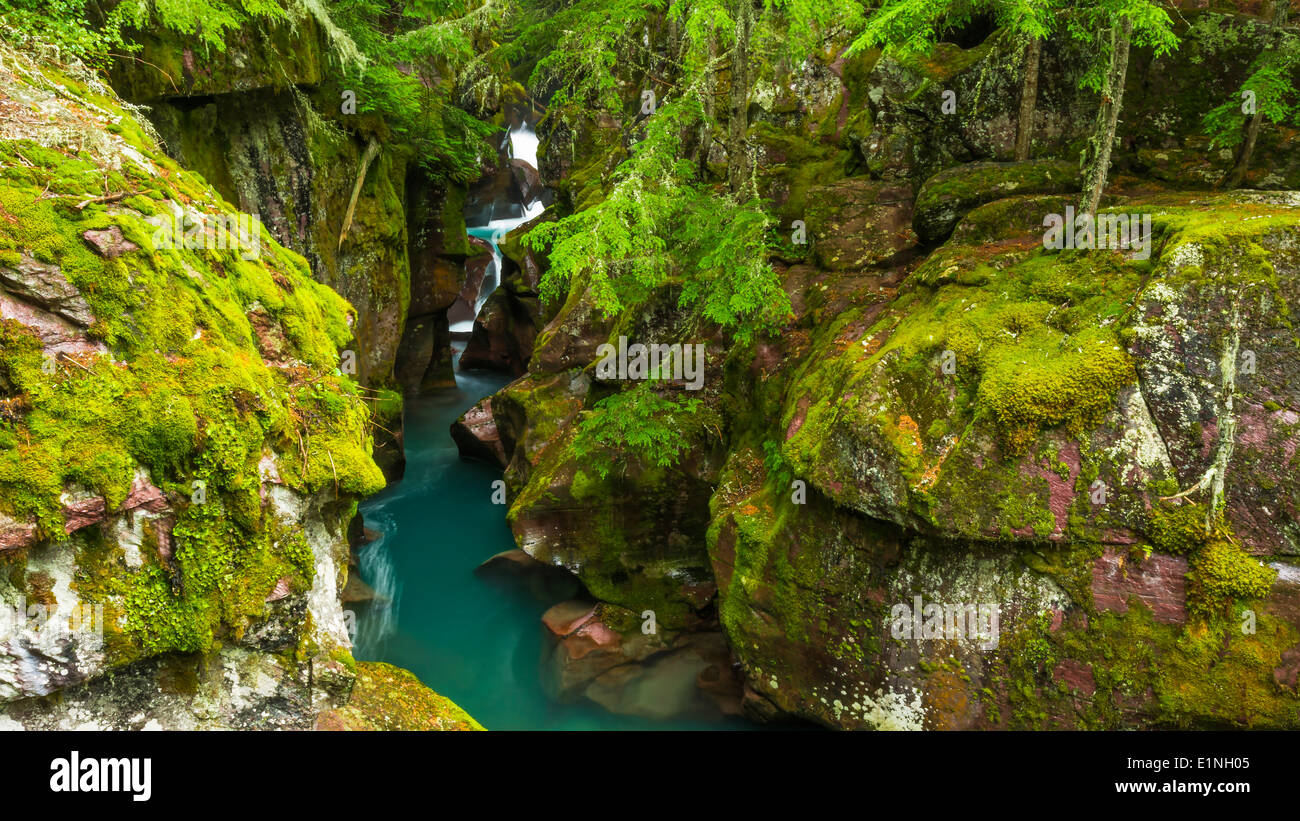 Avalanche Creek Glacier National Park Montana USA Stock Photo Alamy Avalanche Creek Glacier National Park Montana USA Stock Photo Alamy