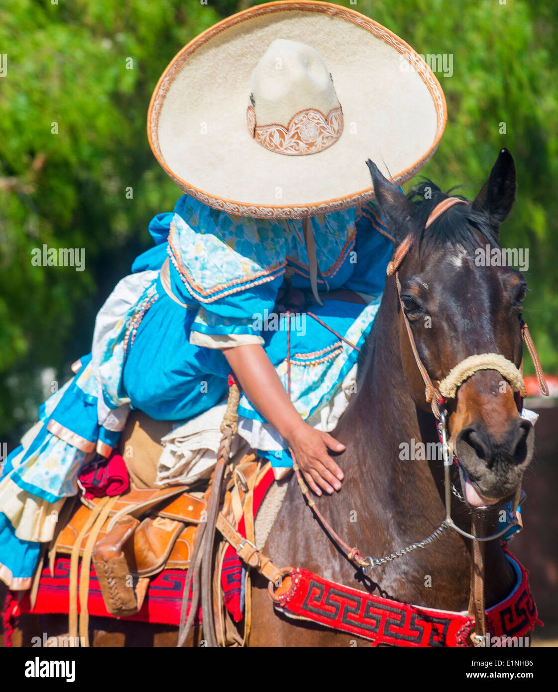 Diego chara hi-res stock photography and images - Alamy
