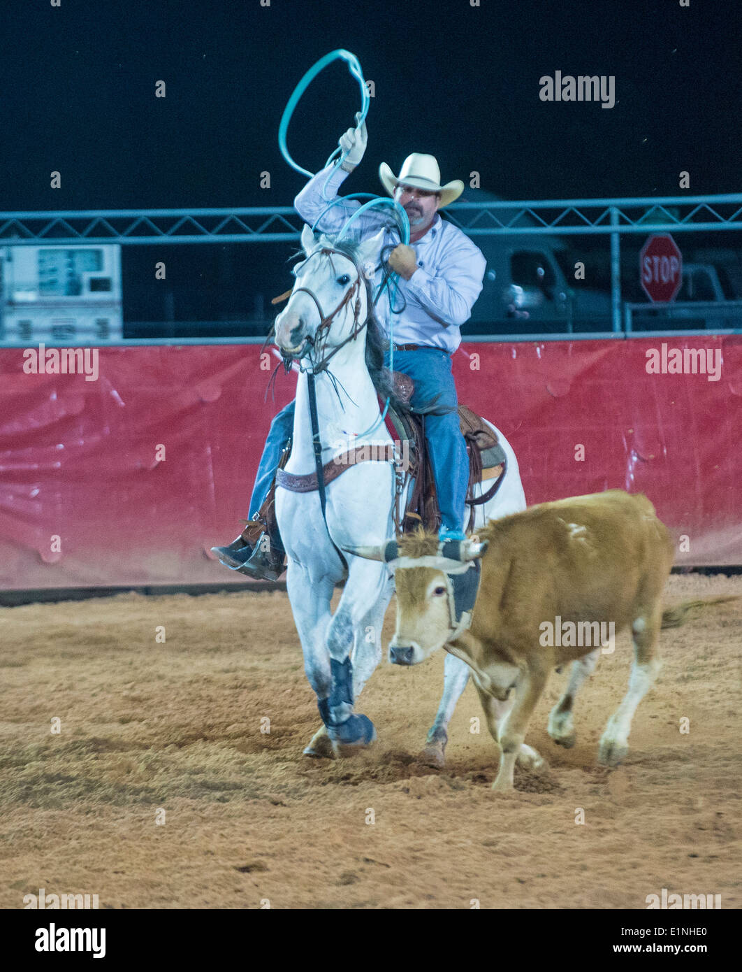 Cowboy Roping While Riding High Resolution Stock Photography and Images ...