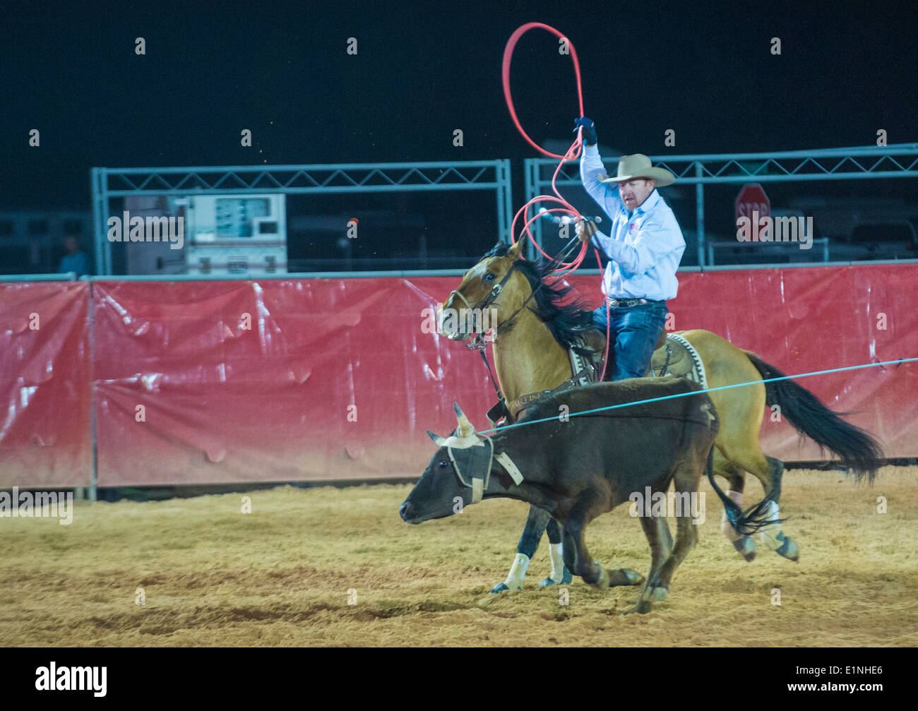 Calf Roping High Resolution Stock Photography and Images - Alamy