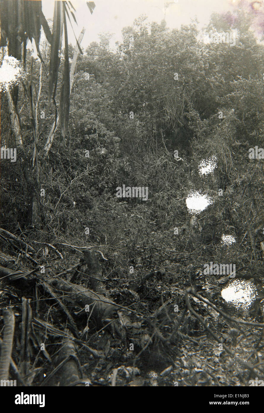 This image is part of the Charles B. Downing Special Collection, which ...