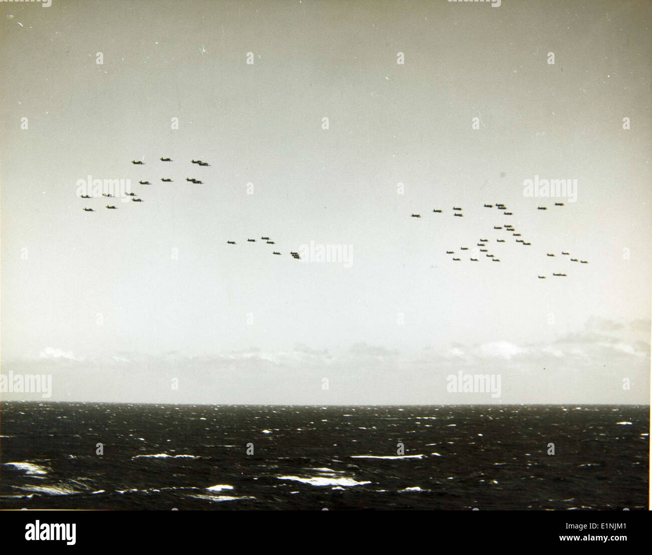 The Colonel Cleon Eugene Freeman Special Collection Photo from 1948 ...