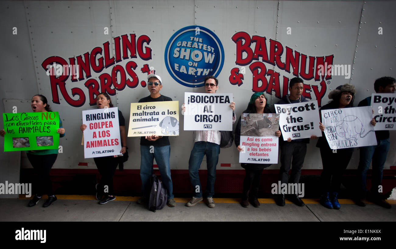 Peta organization hi-res stock photography and images - Alamy