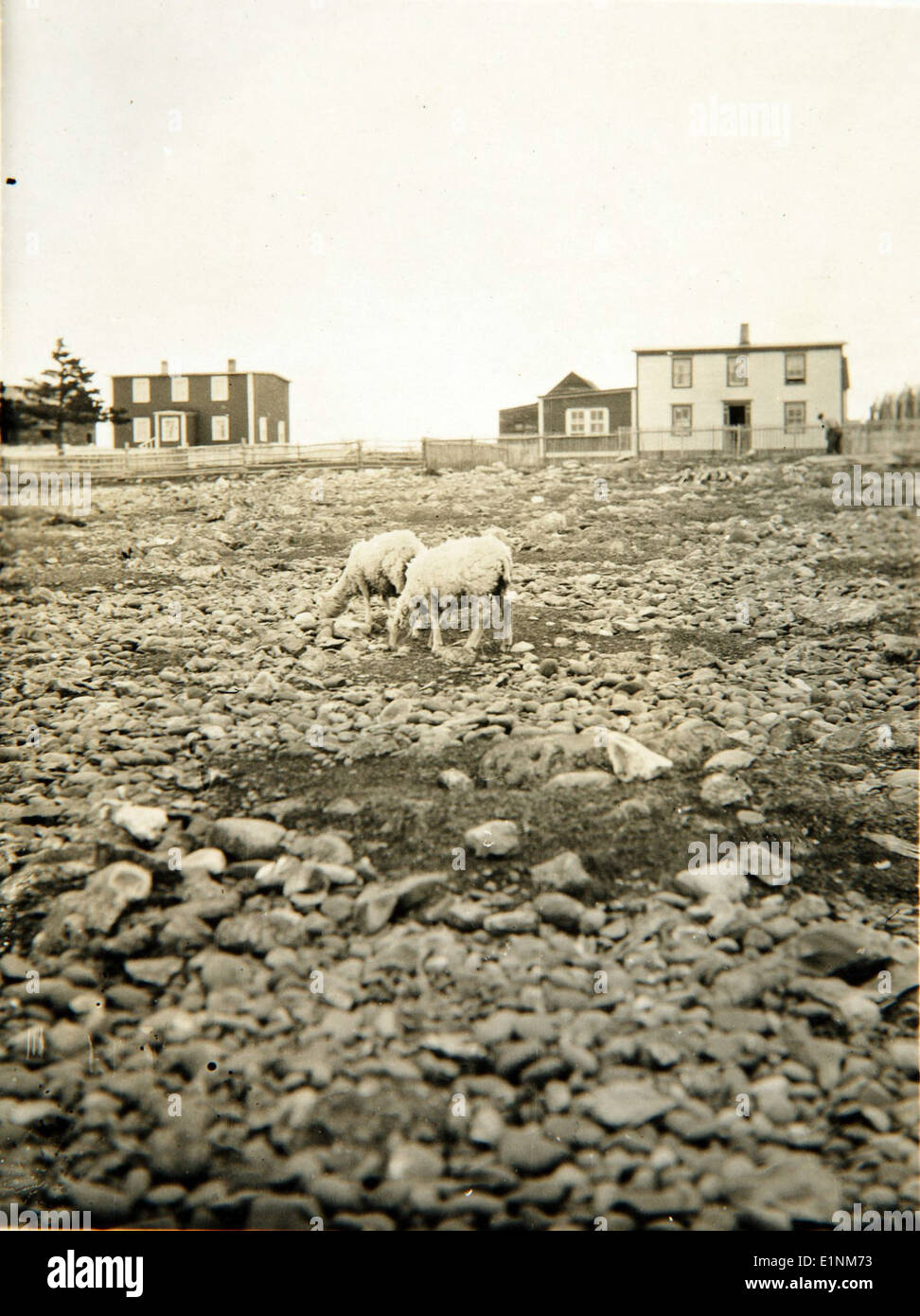 This image from the Louis E. 'Slim' Gordon Special Collection captures ...