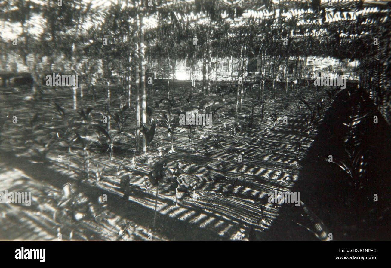 The Tom Tommy Howard Special Collection includes rare photographs ...