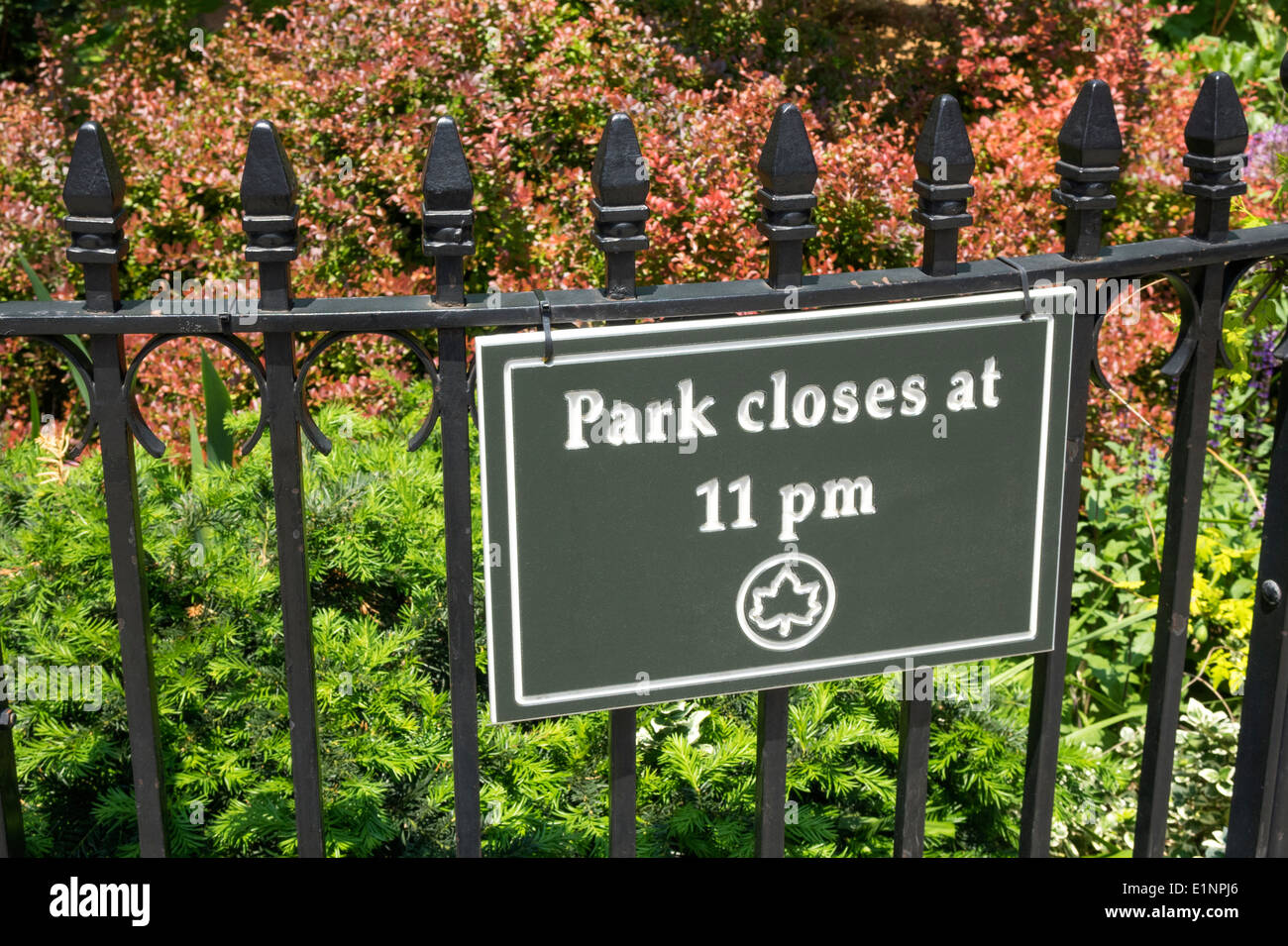 Madison square park flowers hi-res stock photography and images - Alamy