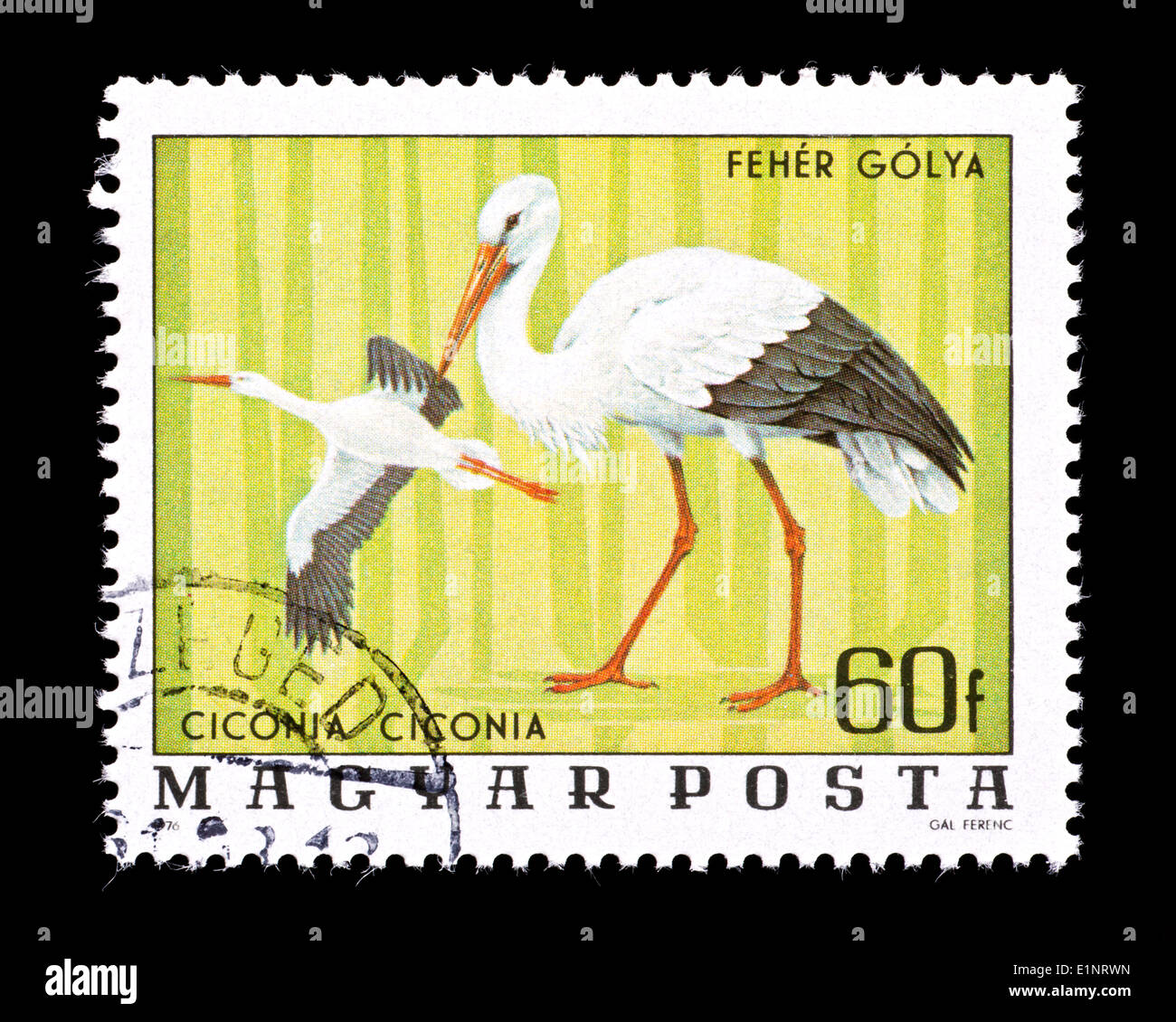 Postage stamp from Hungary depicting a white stork (Ciconia ciconia ...