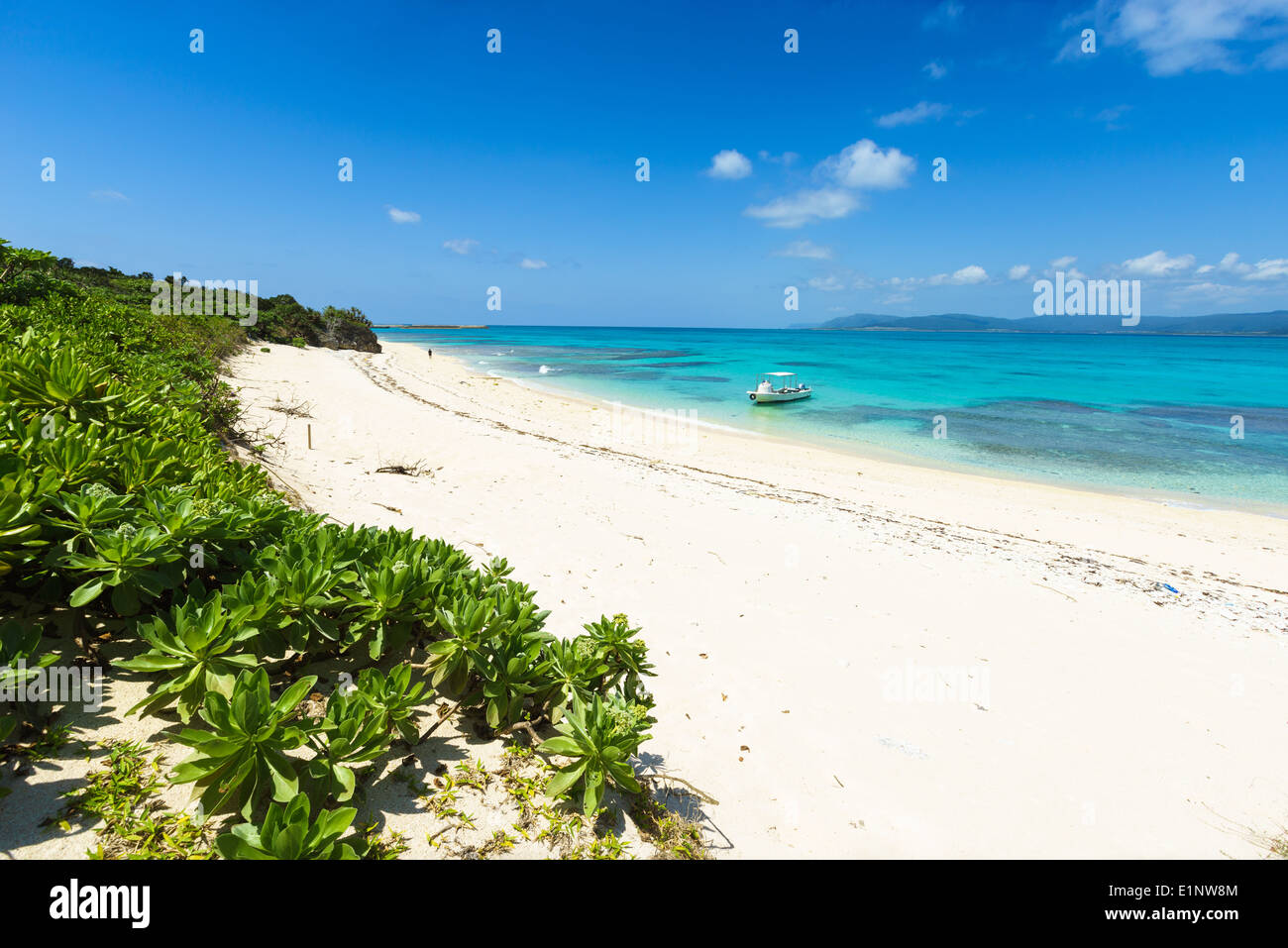 Stunning tropical beach surrounded by crystal clear tropical water full ...