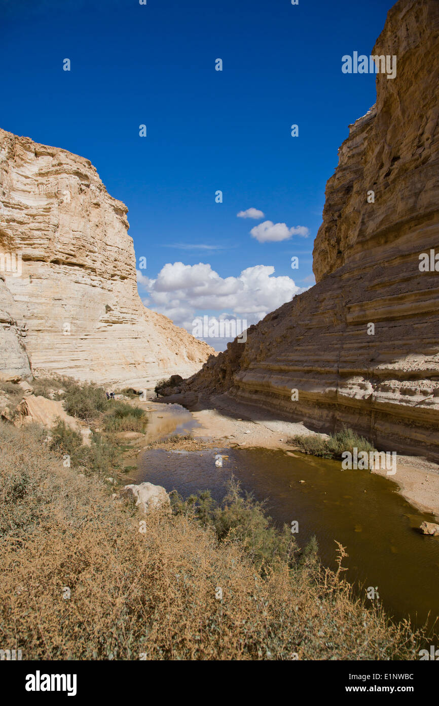 Ein avdat national park hi-res stock photography and images - Alamy