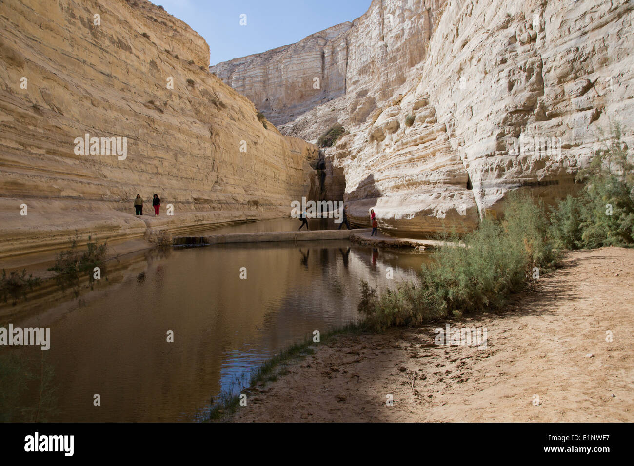 Spring in oasis hi-res stock photography and images - Alamy