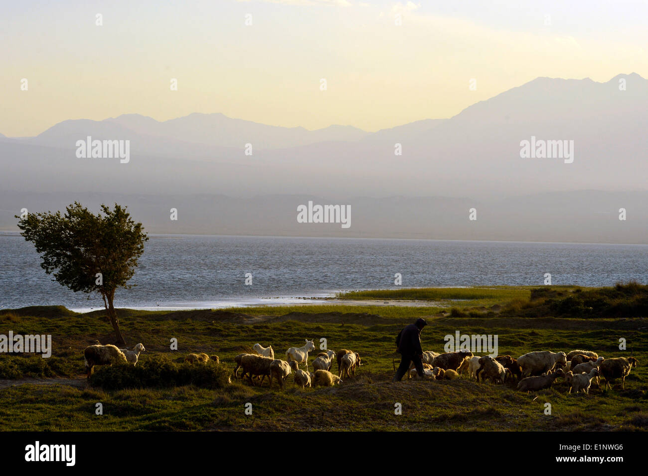Urumqi bank hi-res stock photography and images - Alamy