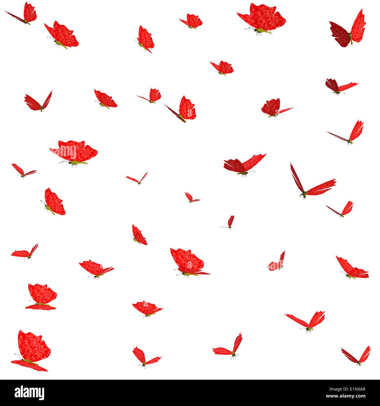 Texture from red butterflies. The isolated background Stock Photo - Alamy