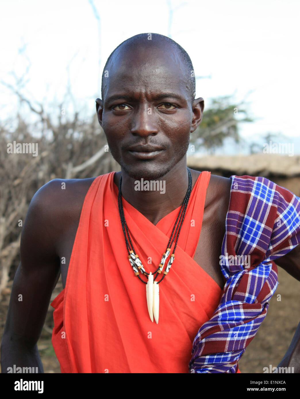 Tribe tribal man primitive hi-res stock photography and images - Alamy