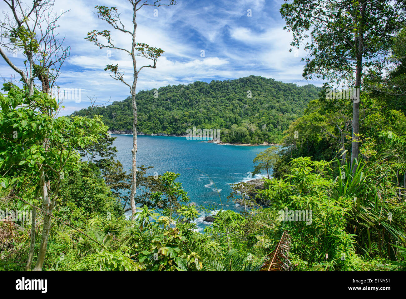 beautiful Teluk Hijau Bay, Meru Betiri National Park, Java, Indonesia ...