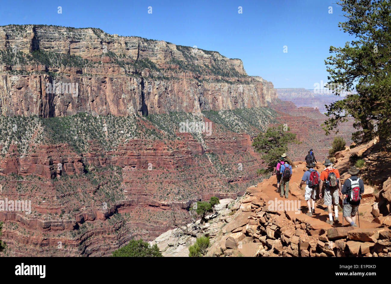 Hikers descending South Kaibab Trail in Grand Canyon to Cedar Ridge May ...