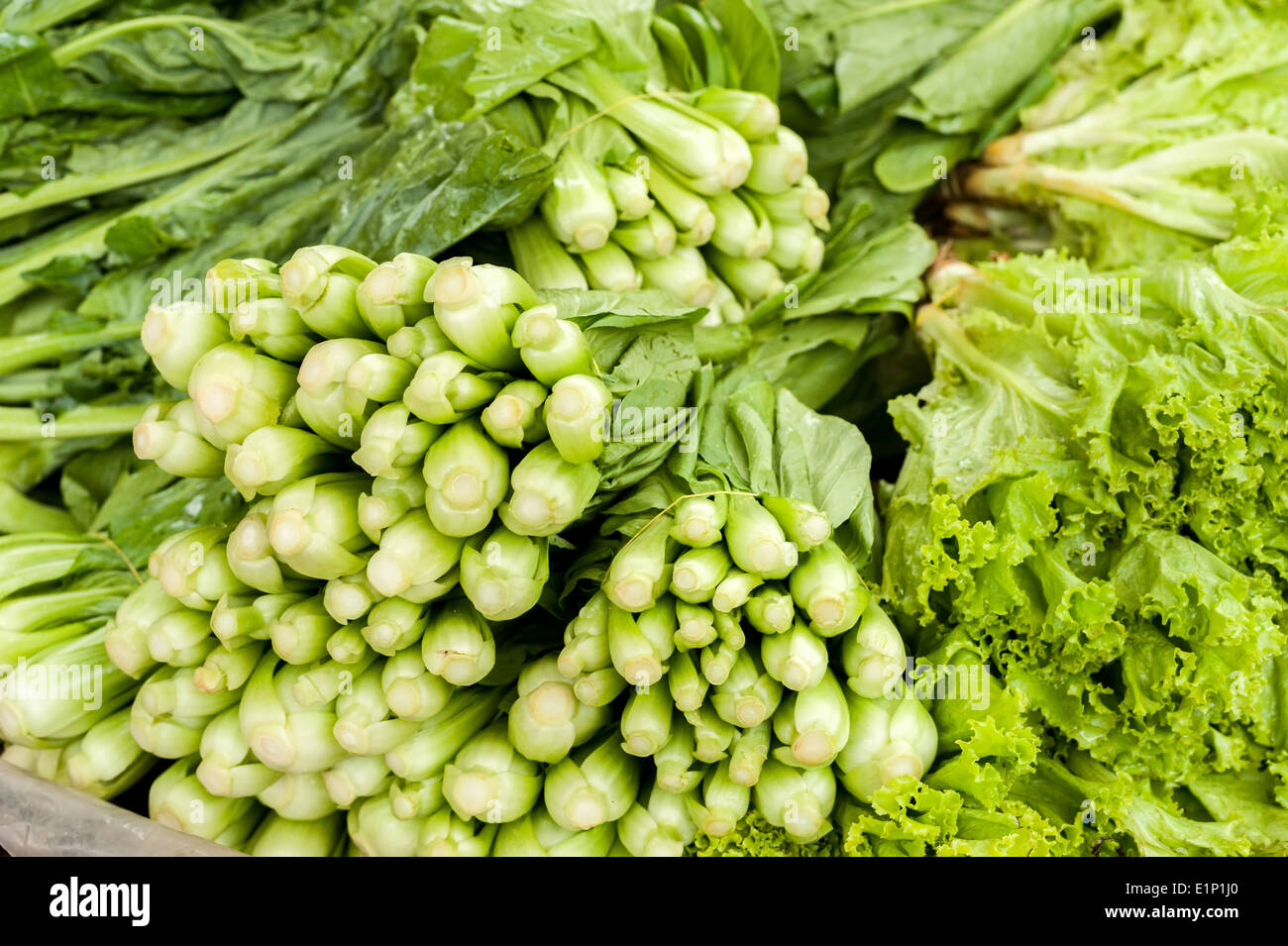 Fresh organic herbs and spices at asian market Stock Photo - Alamy