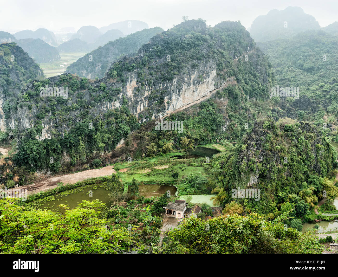 Amazing panorama view rice fields limestone rocks and mountaintop ...