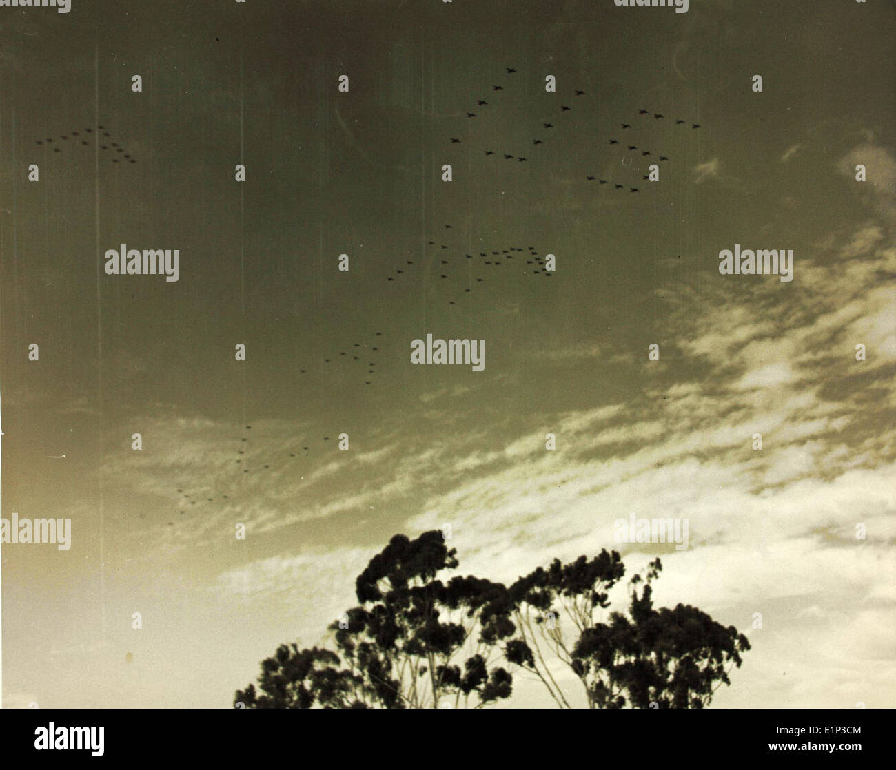 The Historic Flight flyover event showcases iconic aircraft from ...