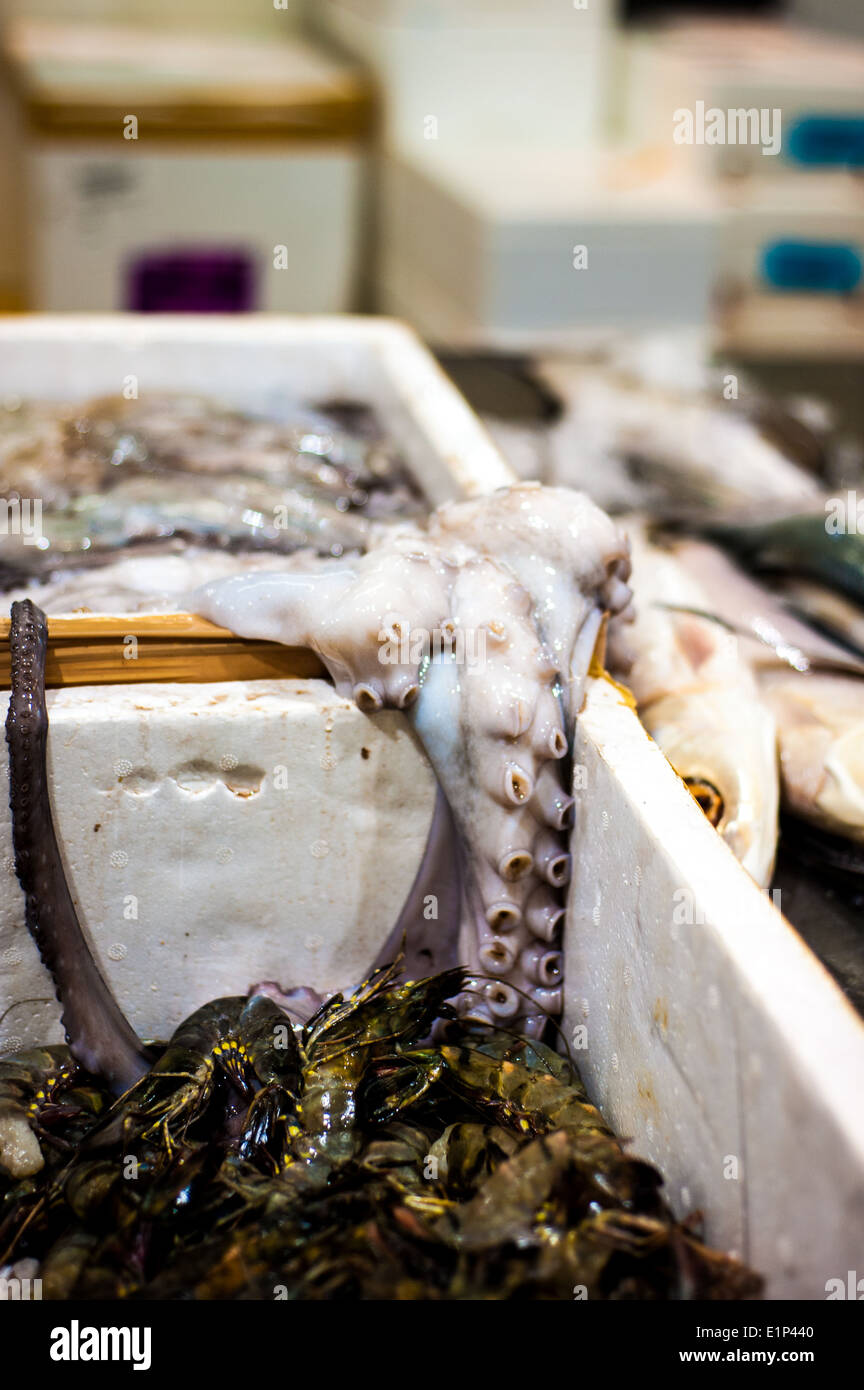 Octopus in sale on a stand at a fish market Stock Photo - Alamy