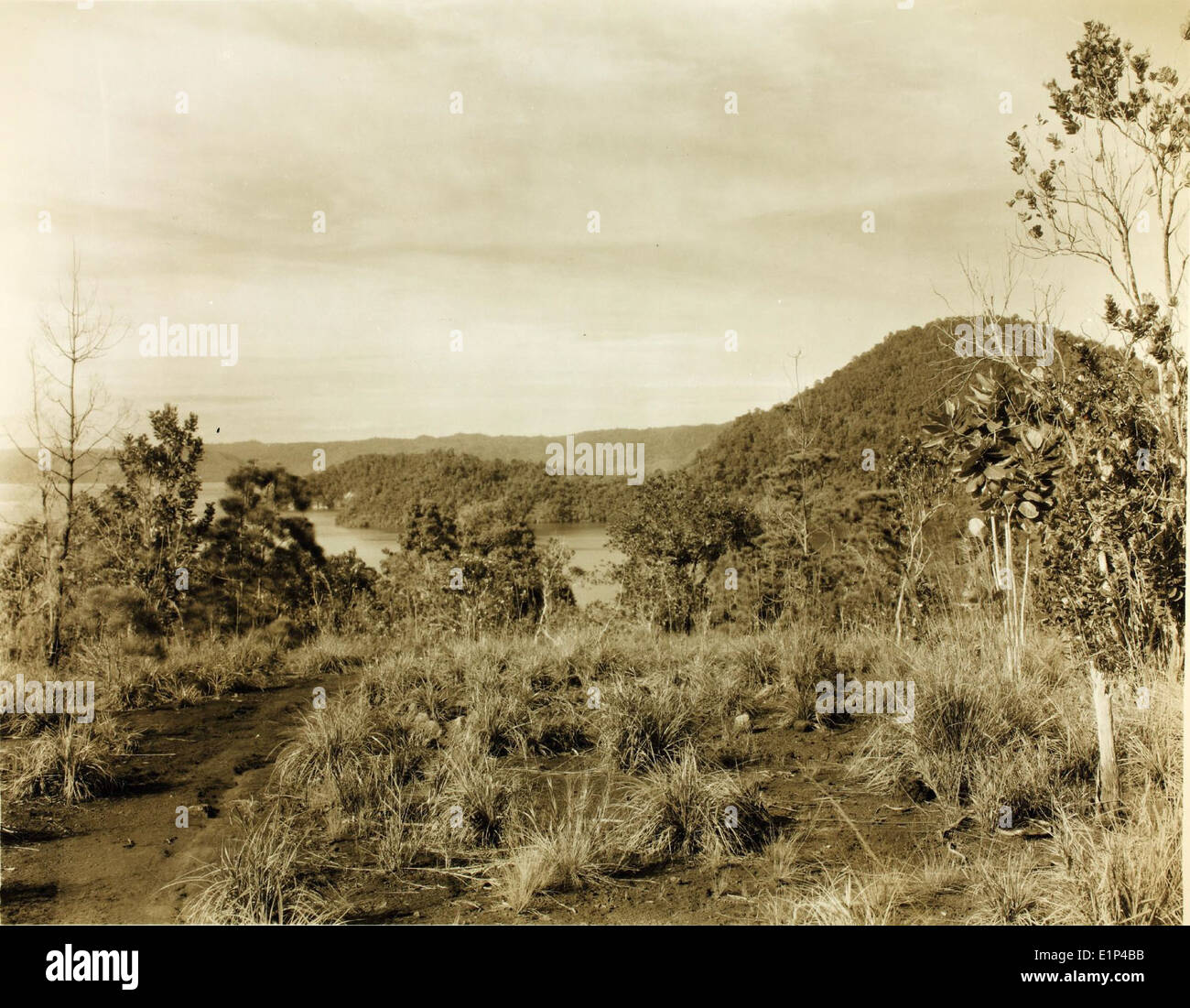 The Archbold Expedition of 1935 used the Consolidated PBY for flight ...