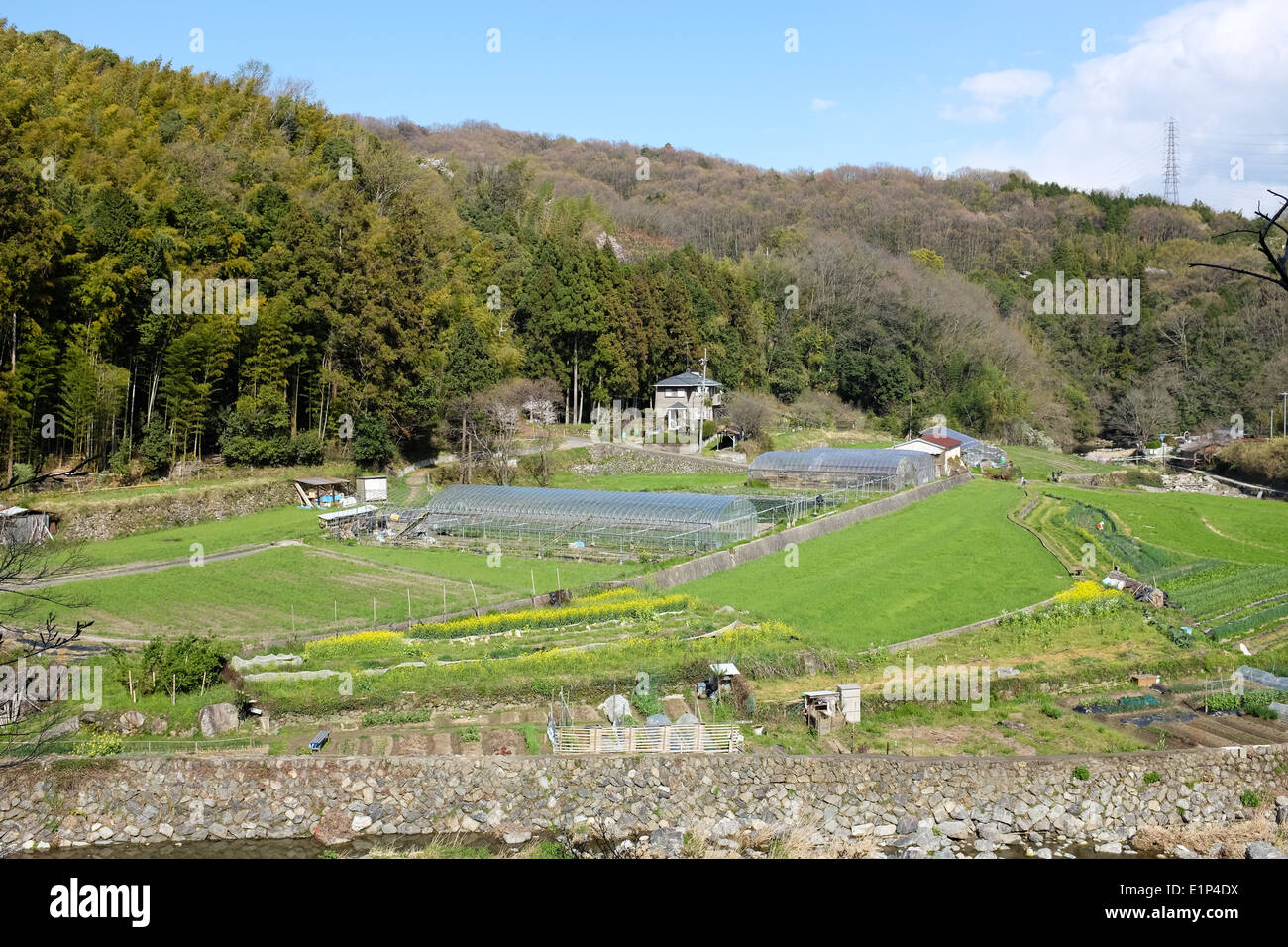 Japanese countryside hi-res stock photography and images - Alamy