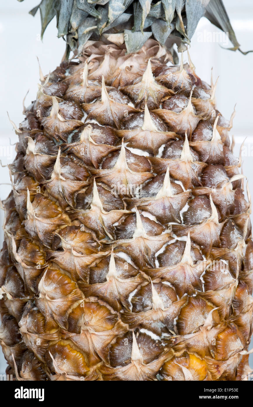 Close up photograph of Pineapple skin Stock Photo - Alamy