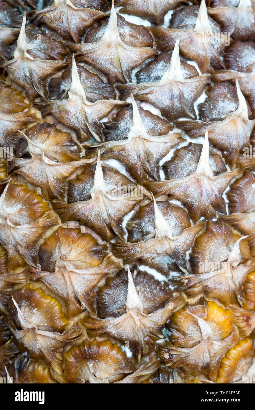 Close up photograph of Pineapple skin Stock Photo - Alamy