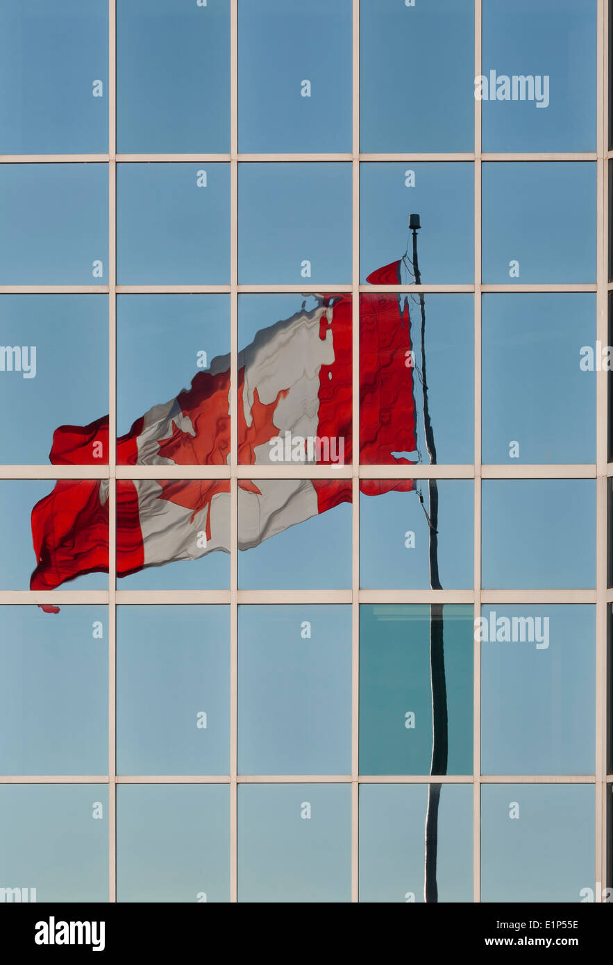 Canadian Flag reflection in building windows Stock Photo - Alamy