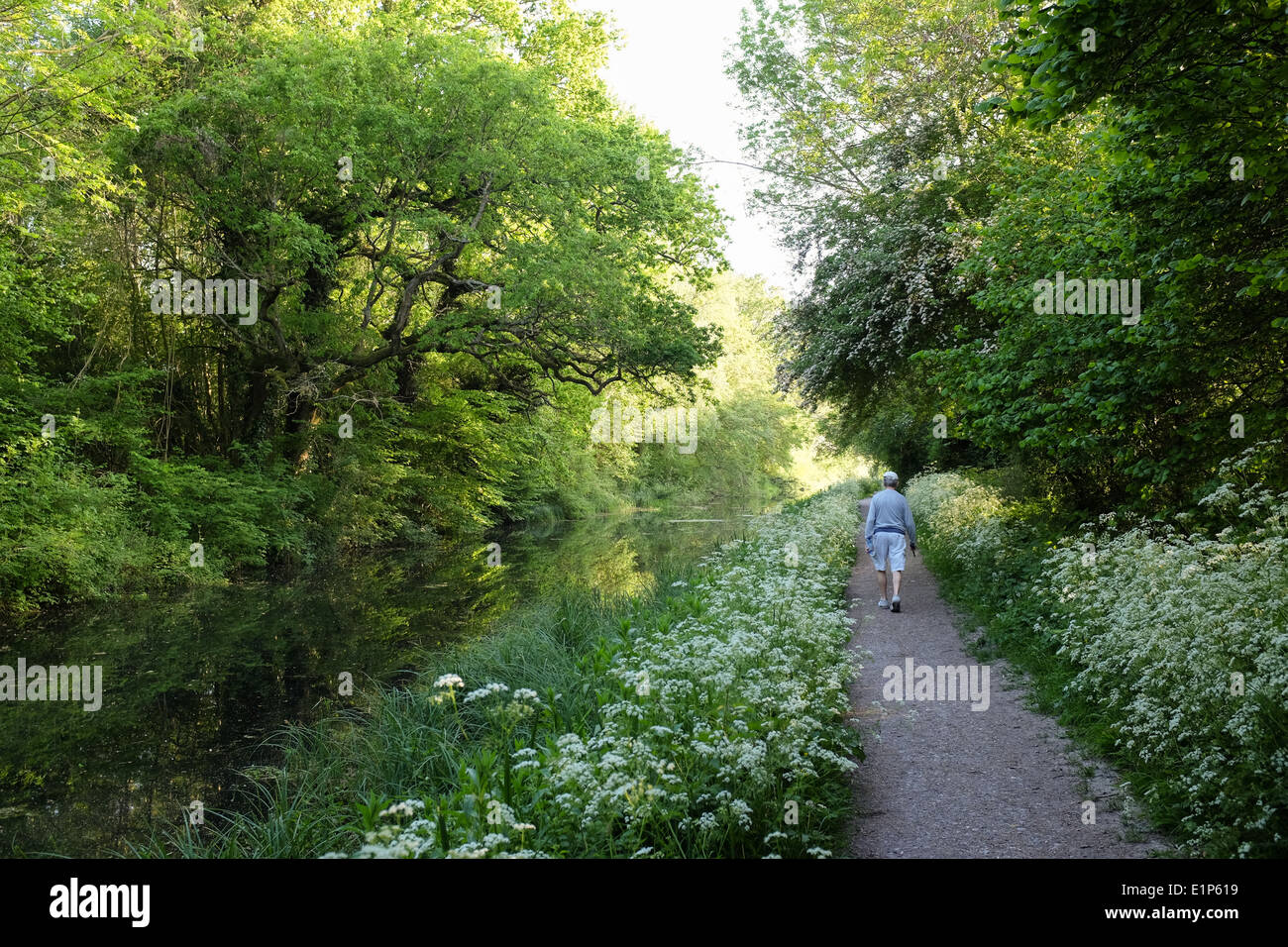 Greywell hampshire england uk hi-res stock photography and images - Alamy