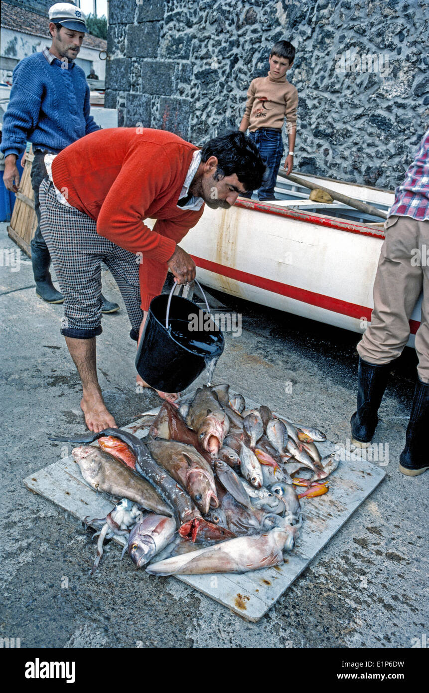 Azorean fishermen bring their daily catch of fish to the port in Vila ...