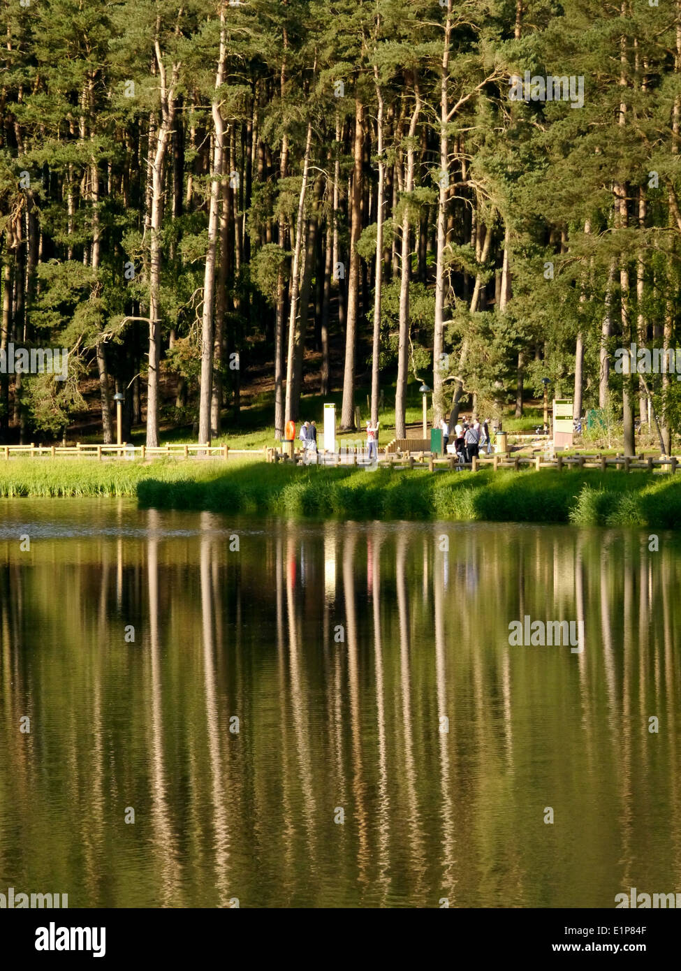 Center parcs woburn forest hi-res stock photography and images - Alamy