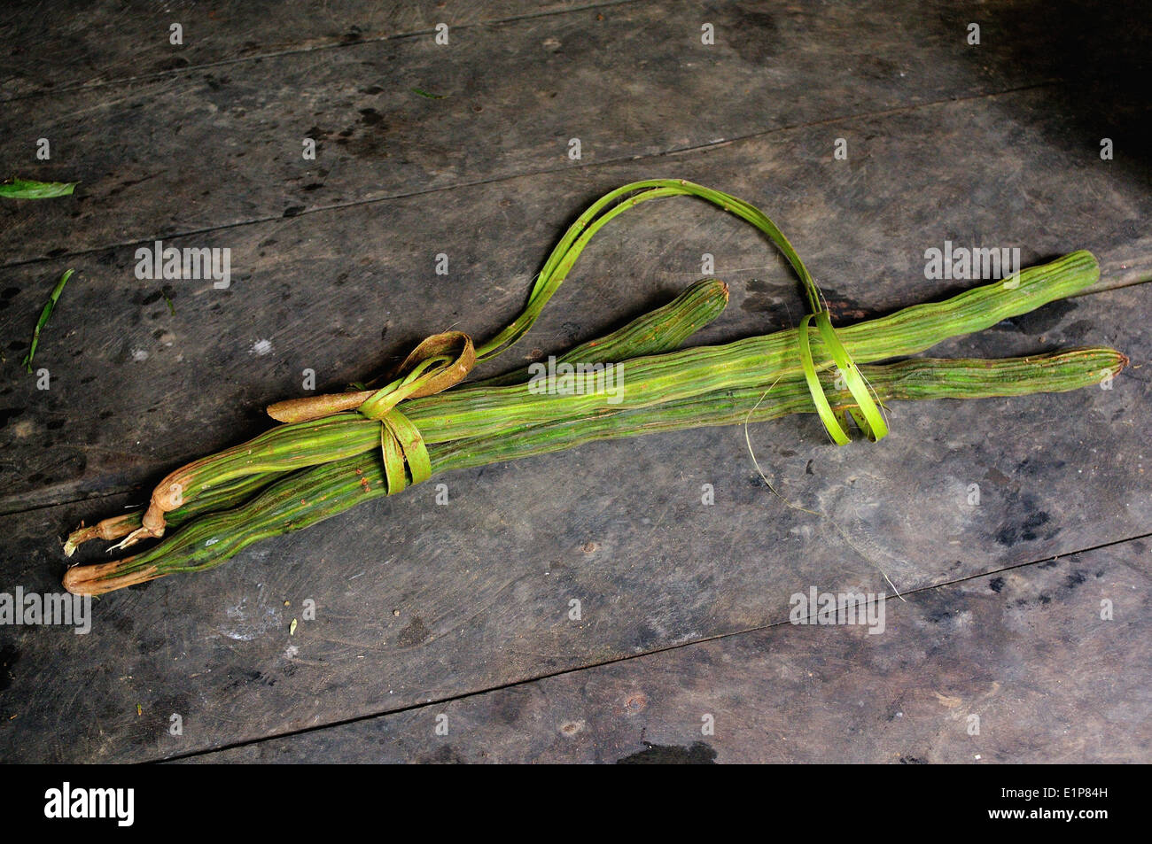 Guaba- Pacay fruit in Industria - PANGUANA . Department of Loreto .PERU ...