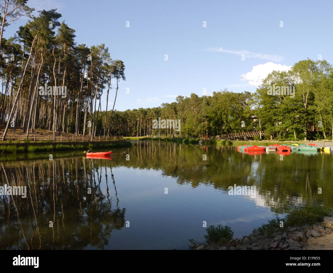 Center Parcs, Woburn Forest - opening weekend Stock Photo - Alamy