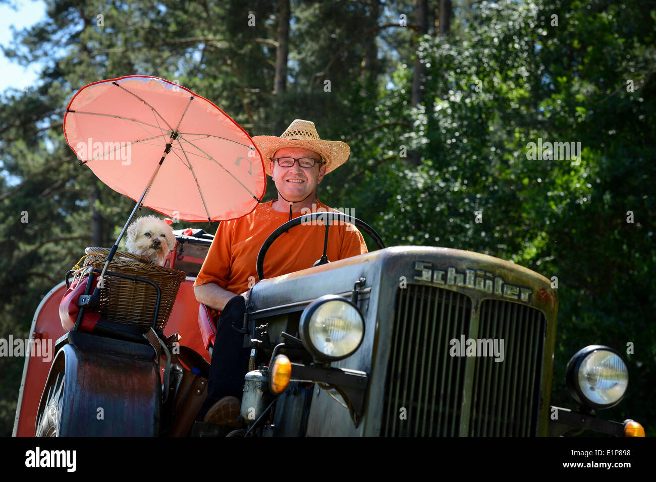 Dog driving tractor hi-res stock photography and images - Alamy