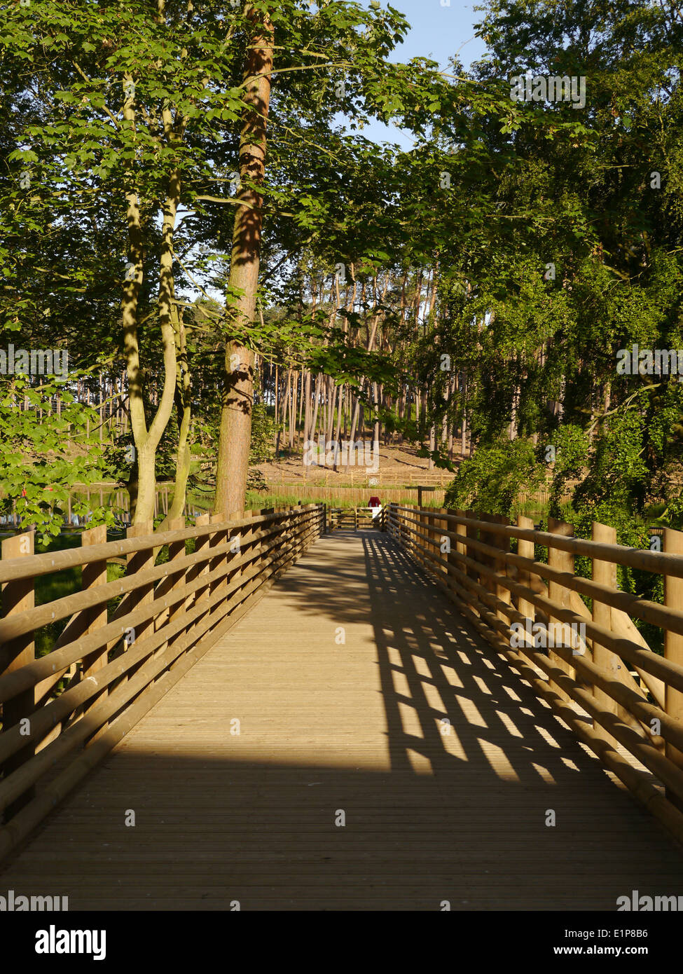 Center Parcs, Woburn Forest - opening weekend Stock Photo - Alamy