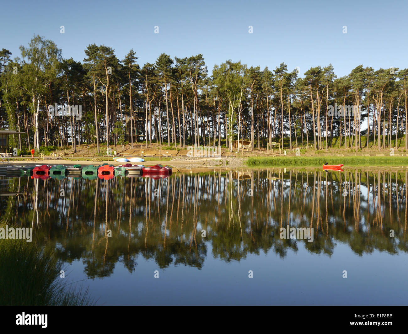Center Parcs, Woburn Forest - opening weekend Stock Photo - Alamy