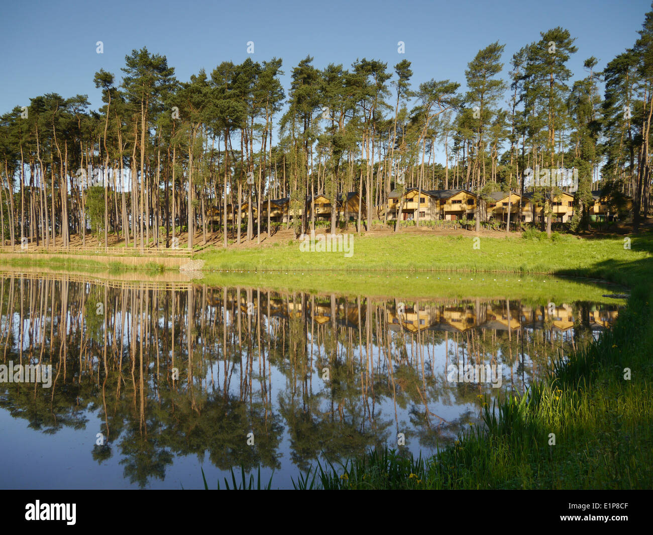 Center Parcs, Woburn Forest - opening weekend Stock Photo - Alamy