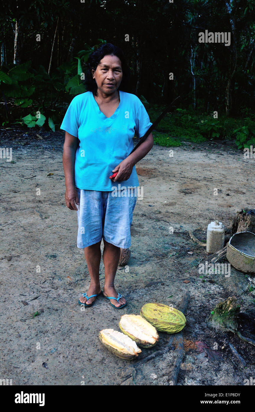Machette cocoa hi-res stock photography and images - Alamy
