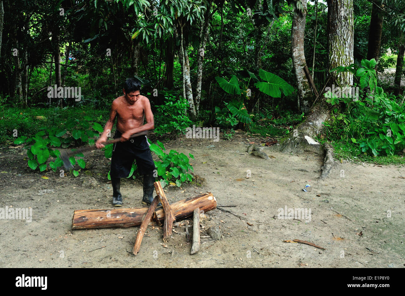 Cutting firewood - Traditional house in Industria - PANGUANA ...