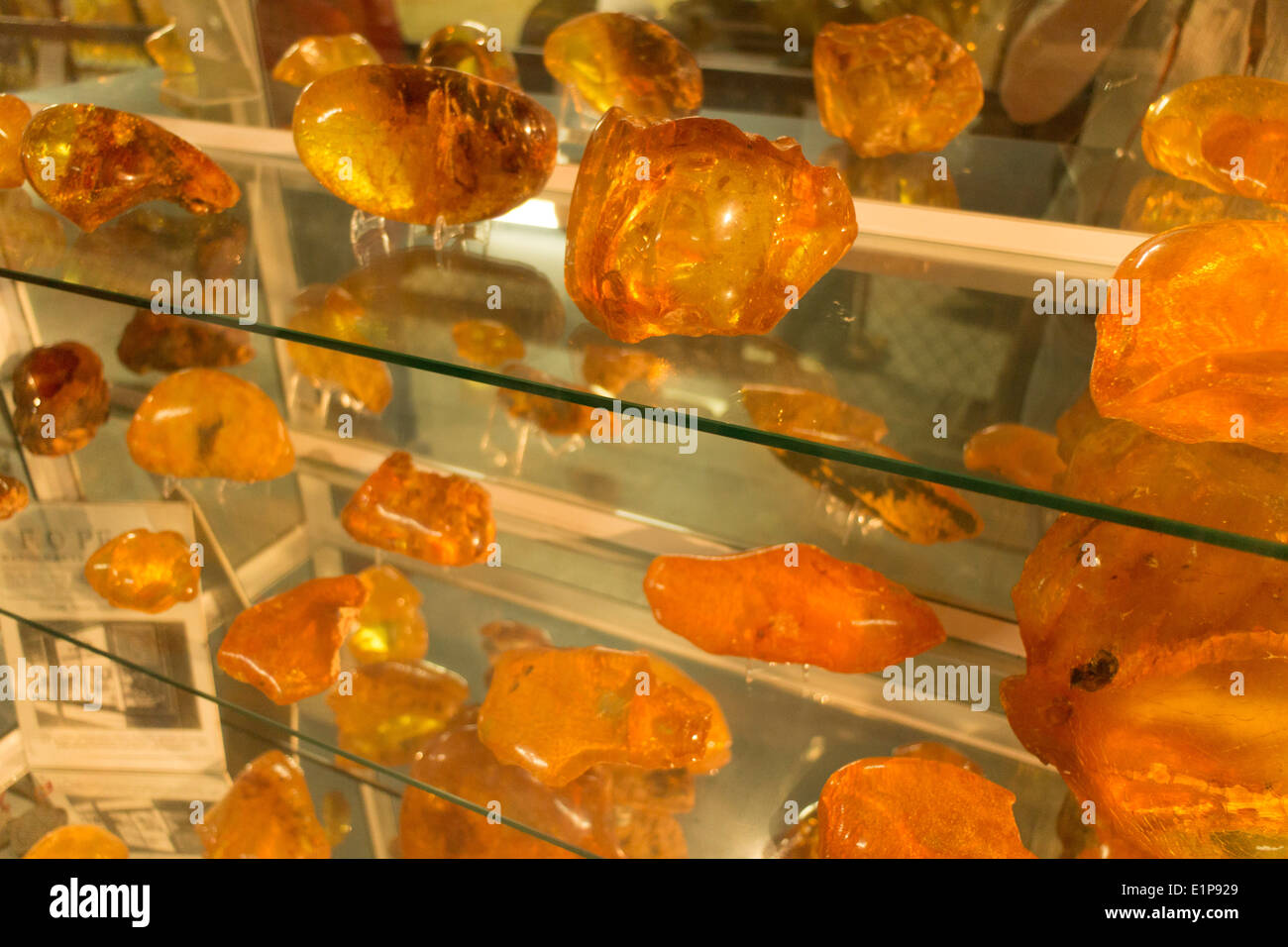 New Zealand 2013-2014. Dargaville Museum, Northland. Kauri Gum Stock ...