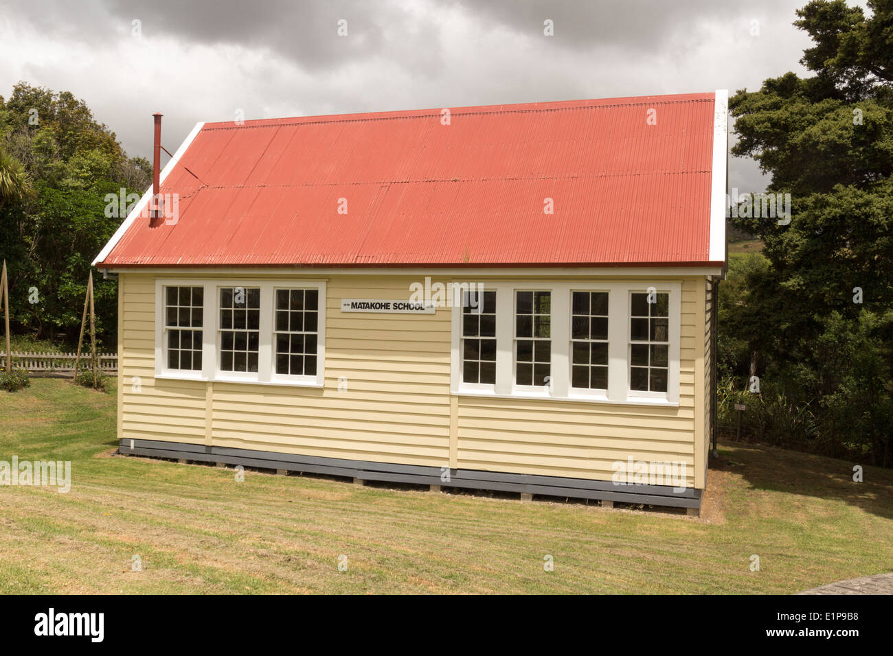 New Zealand 2013-2014. Matakohe, Northland. Kauri Museum. Preserved ...
