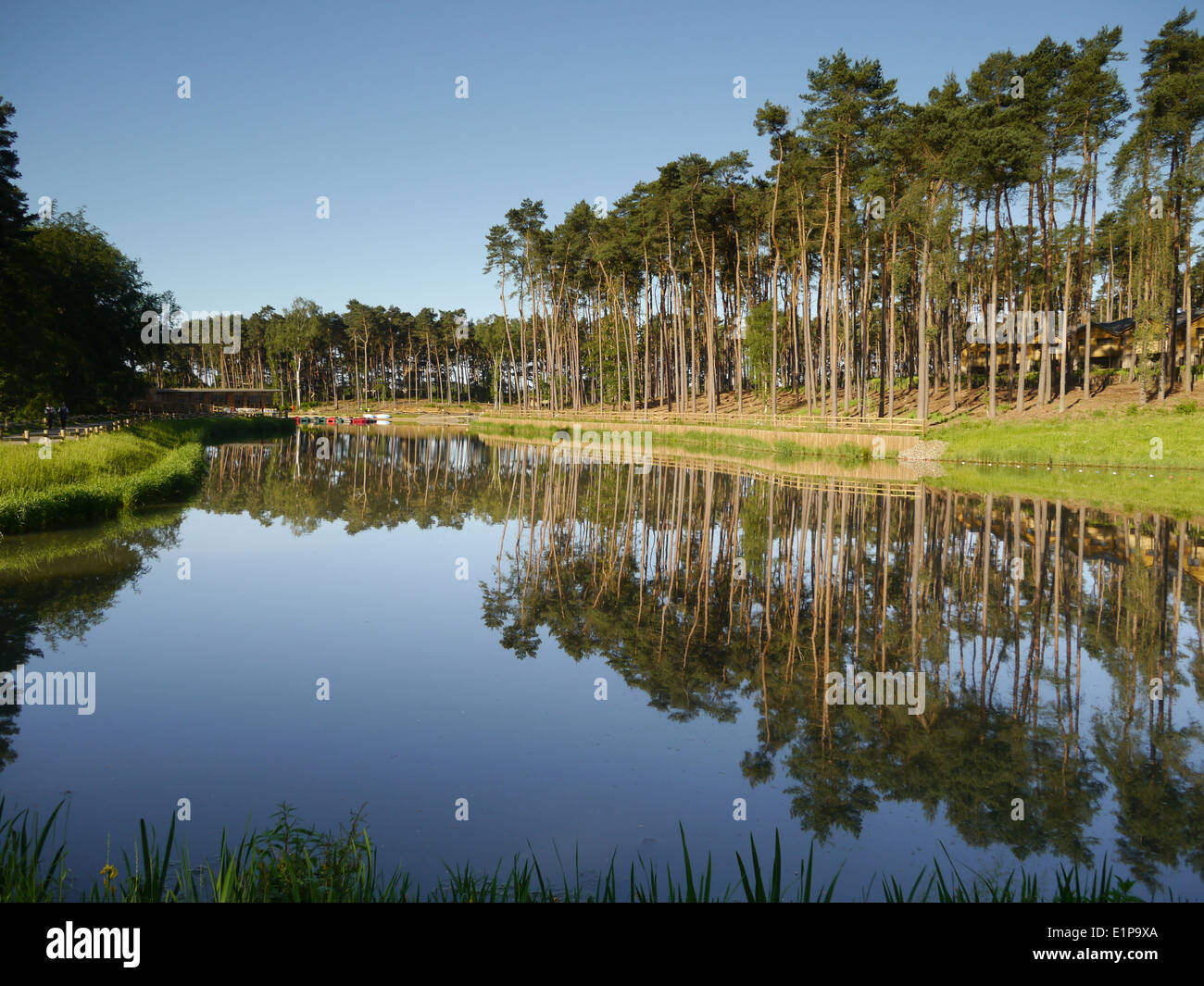Center Parcs, Woburn Forest - opening weekend Stock Photo - Alamy