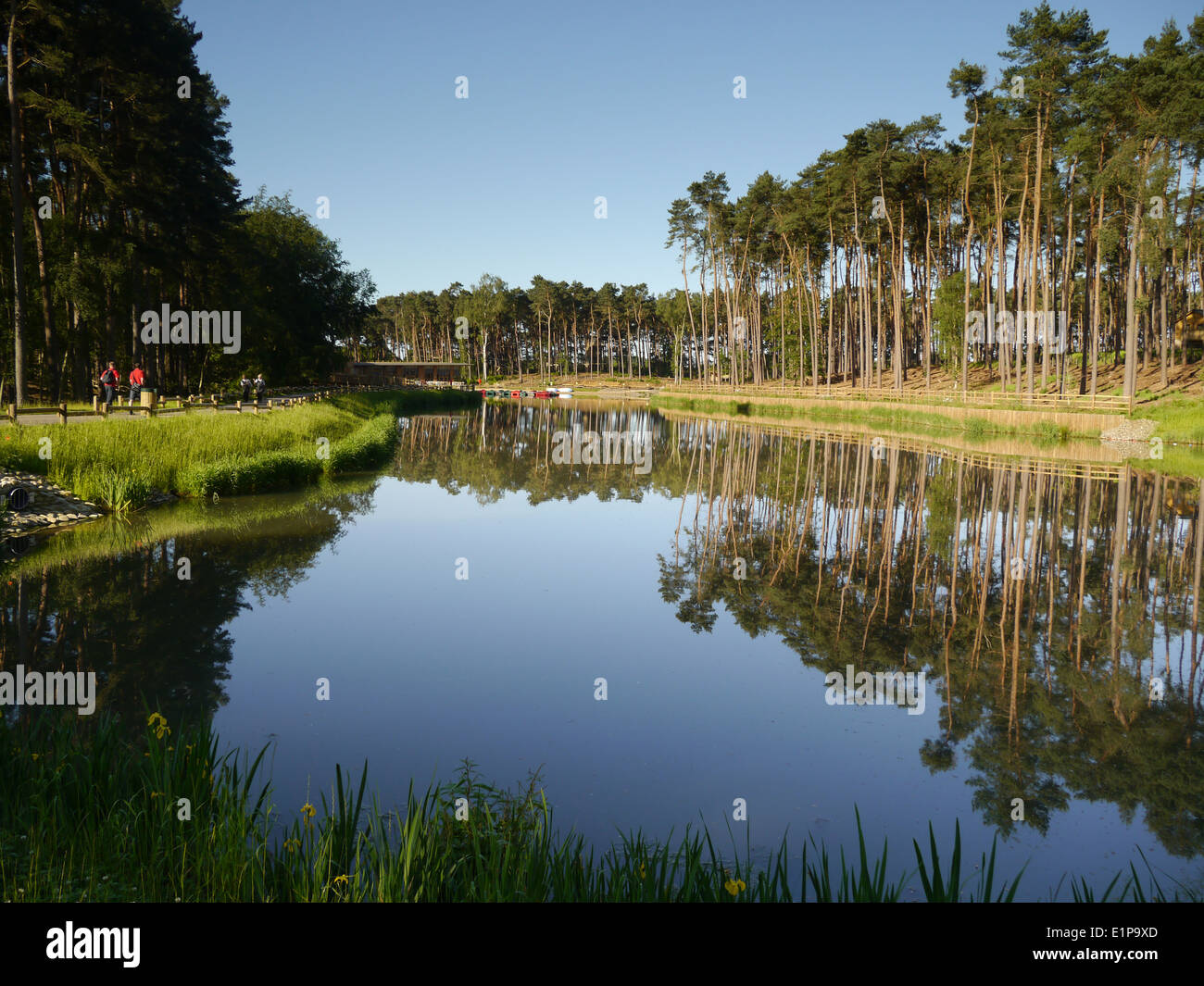 Center Parcs, Woburn Forest - opening weekend Stock Photo - Alamy