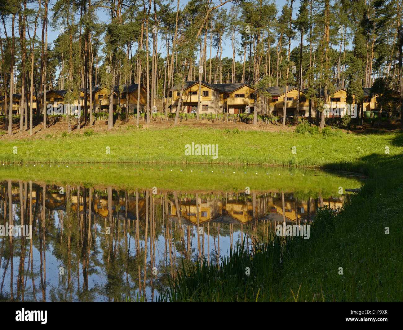 Center Parcs, Woburn Forest - opening weekend Stock Photo - Alamy