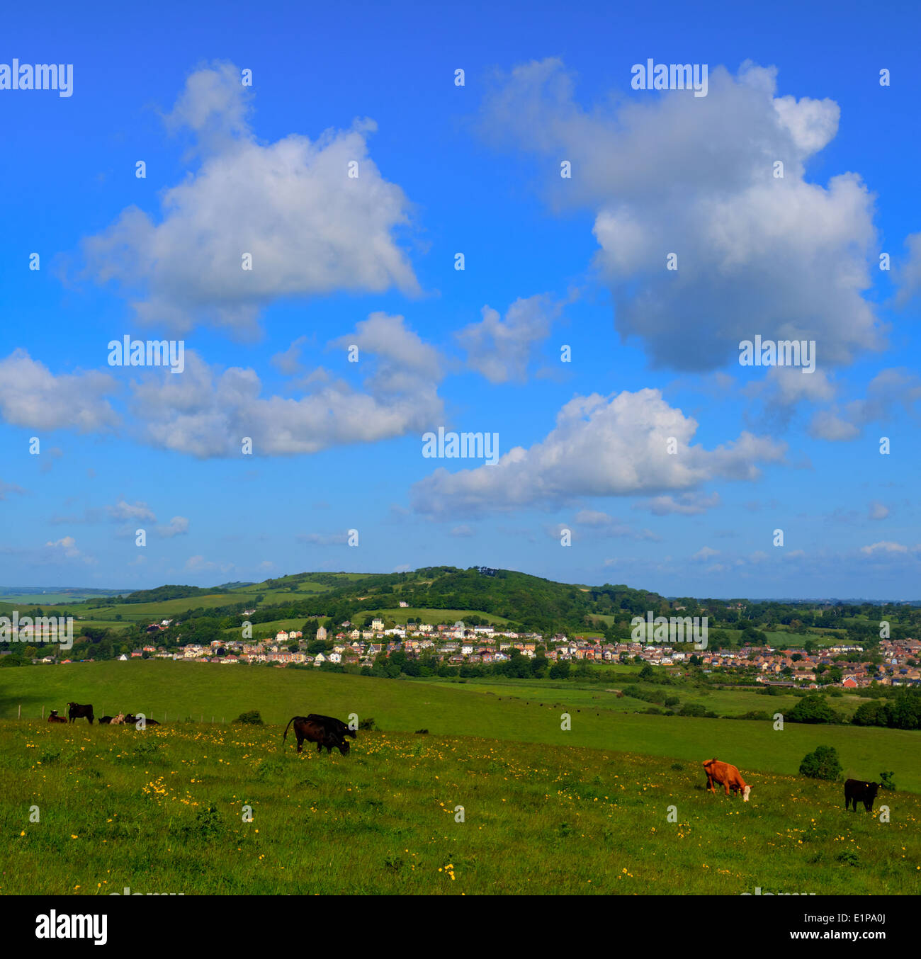 Isle of Wight country view towards Brading home to the Roman Villa ...