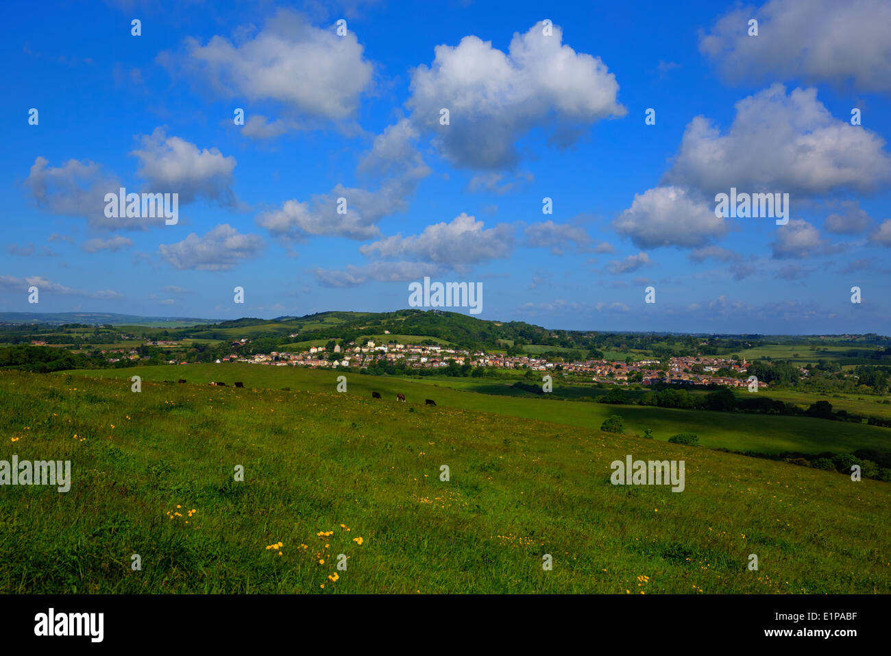 Isle of Wight country view towards Brading home to the Roman Villa ...