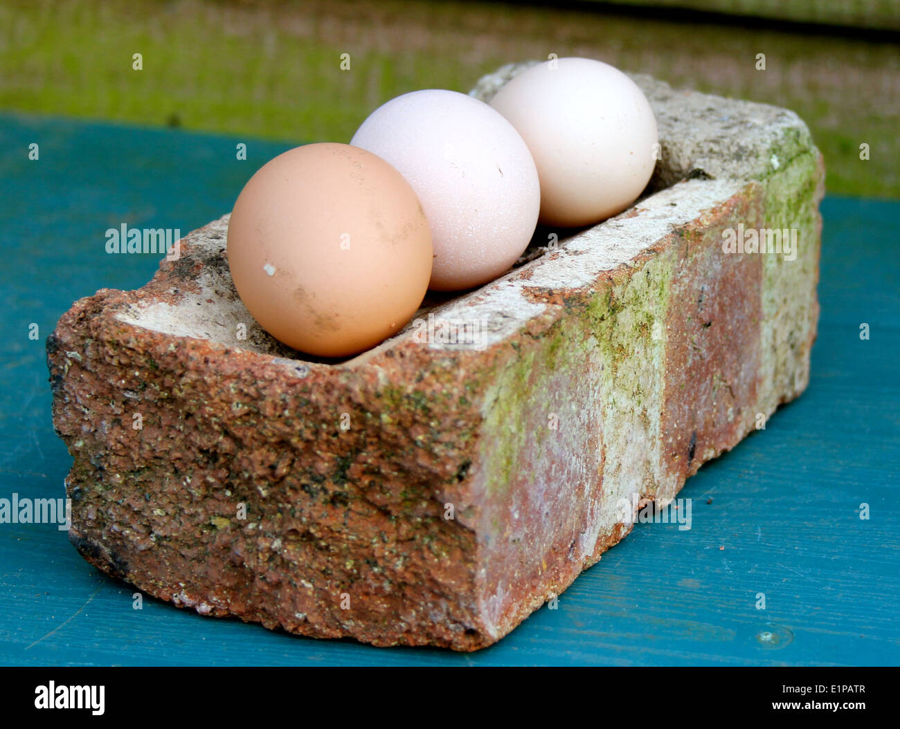 House brick hi-res stock photography and images - Alamy